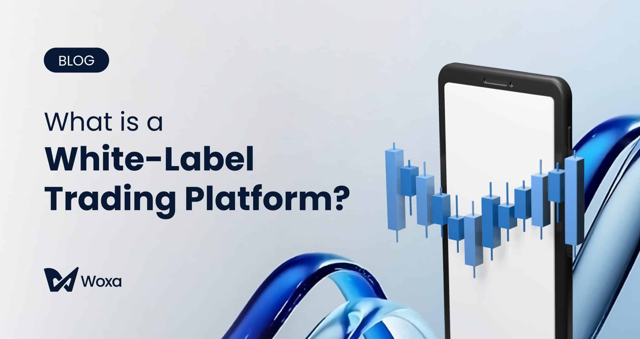 What is a White Label Trading Platform? - WoxaCorp : Financial ...